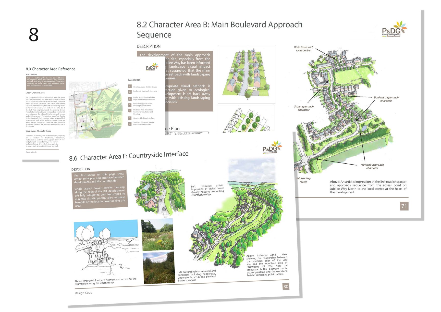 Unlocking Urban Potential Through Innovative Design Code Guidelines – P&DG